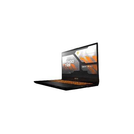 AXIOO PONGO 725 (BLACK) 16GB/512GB