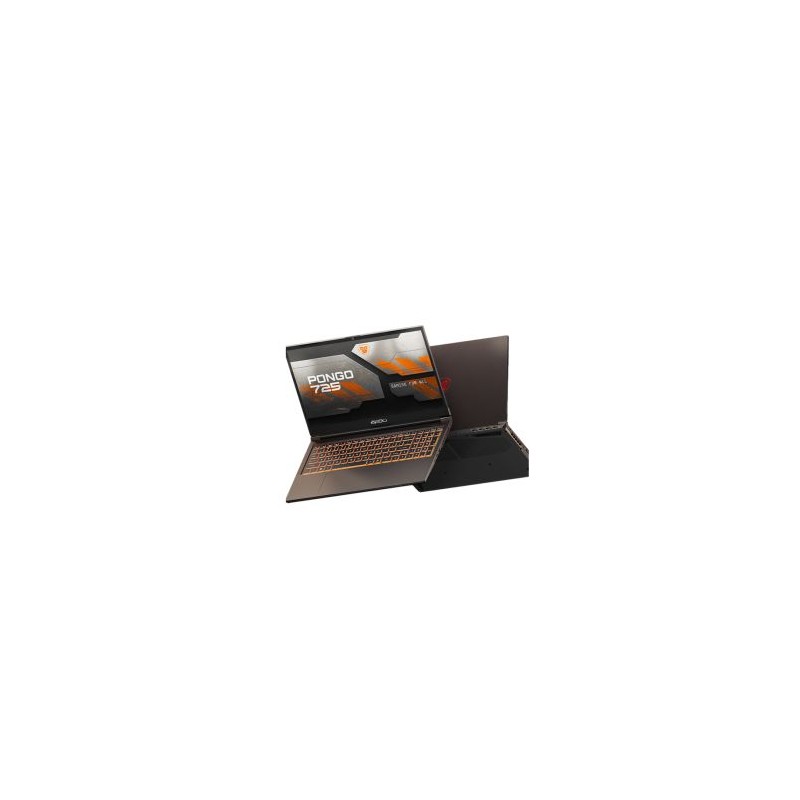AXIOO PONGO 725 (BLACK) 16GB/512GB