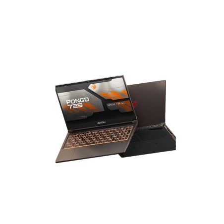 AXIOO PONGO 725 (BLACK) 16GB/512GB